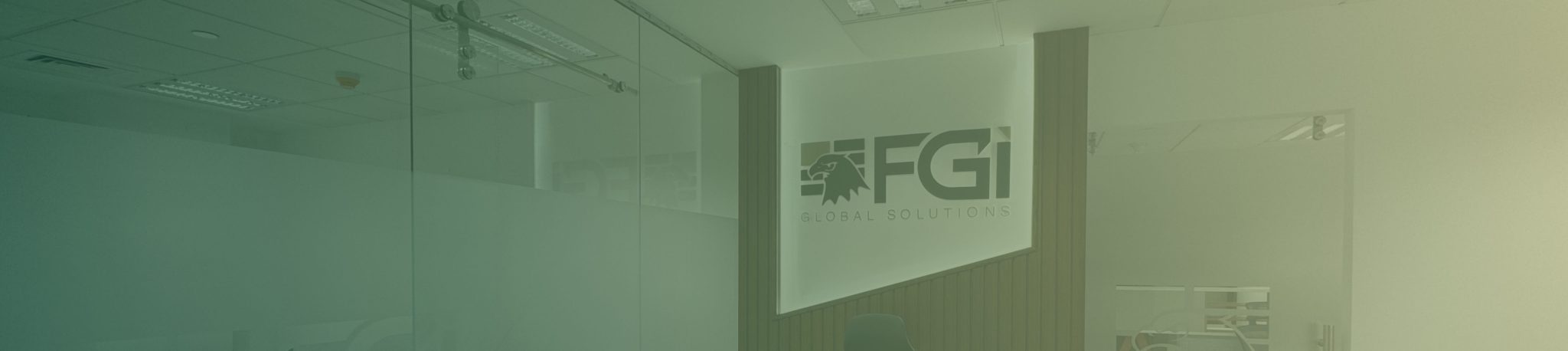 Overview - FGi Global Solutions